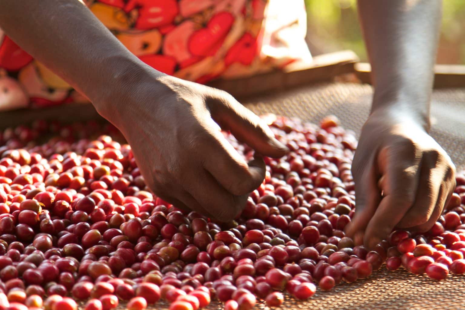 Our Approach - Root Capital